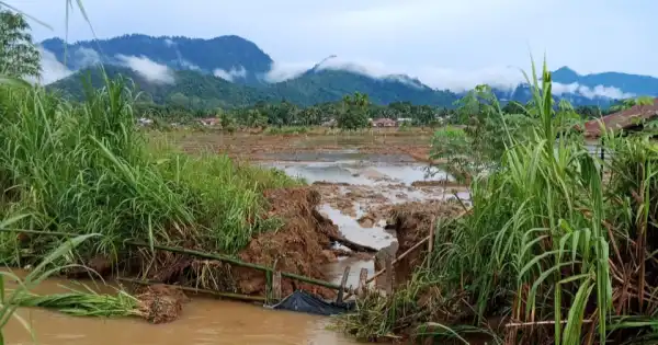 Tanggul di Kluet Timur Kembali Jebol, Sawah Warga Terancam Gagal Tanam