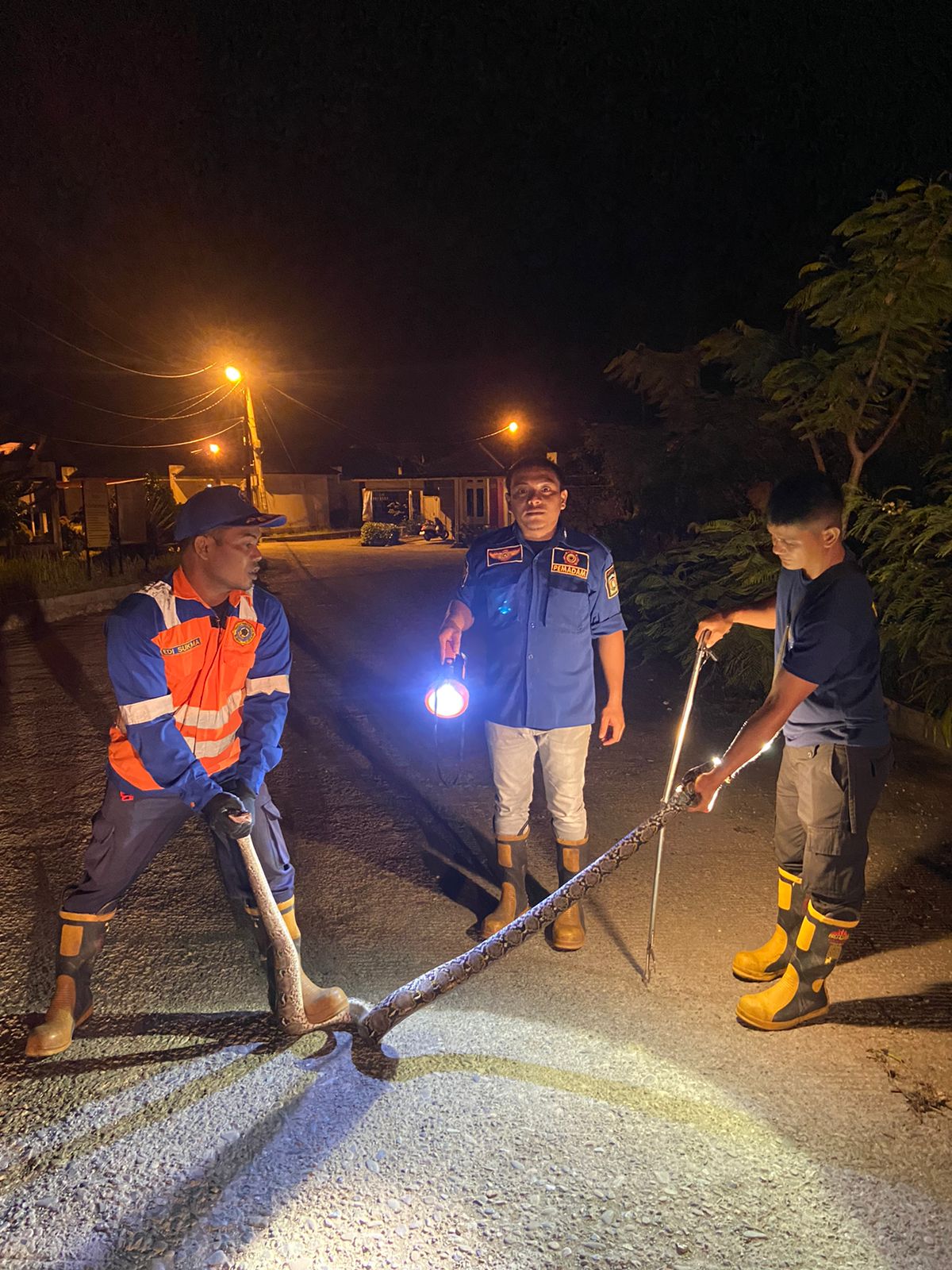 BPBD Aceh Besar Evakuasi Ular Piton 3 Meter di Gani Residence