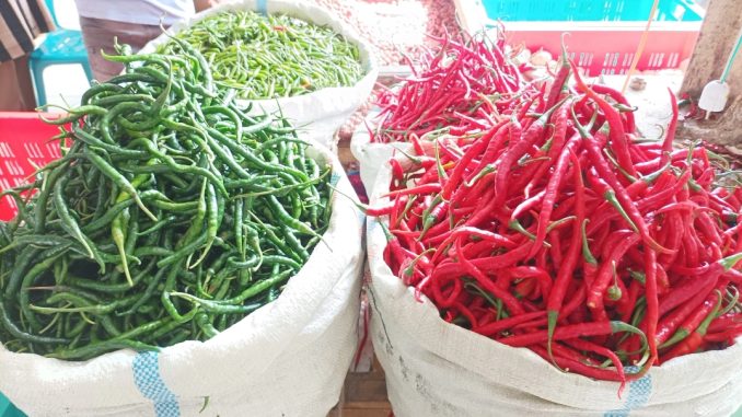 Harga Cabai dan Bawang di Banda Aceh Naik, Berikut Daftar Lengkapnya